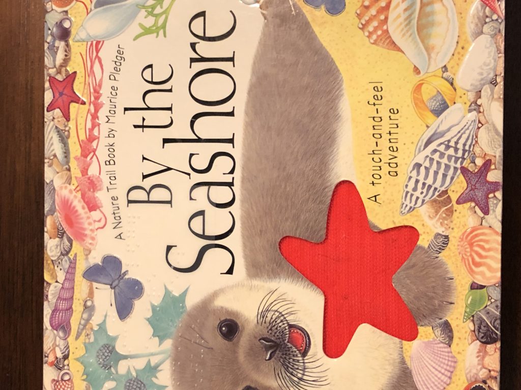 7 Interactive Summer Books for Toddlers - A Flourishing Rose