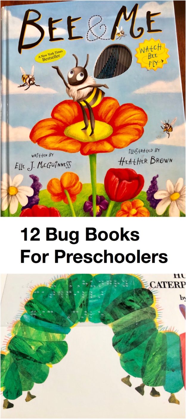 12 Bug Books for Preschoolers - A Flourishing Rose